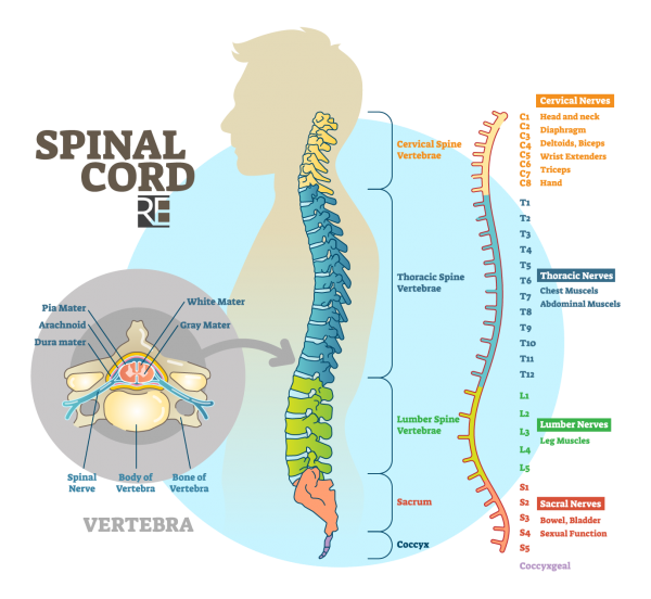 A Lifetime of Consequences | Law Offices of Jeffrey Raynes