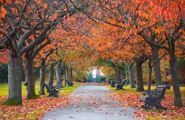 Injuries and Insurance Claims That Increase During Fall Season | Law ...